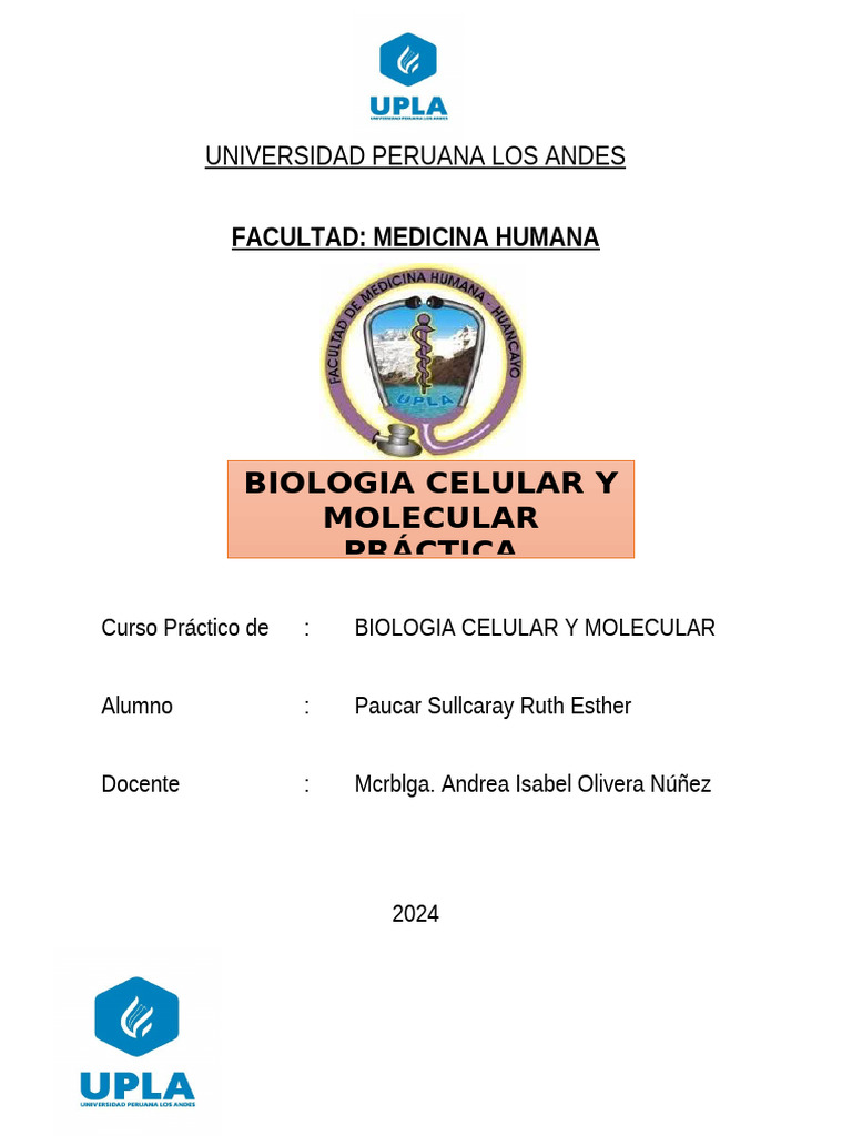 Caratula de Informe de Practica (4) 2024 | PDF