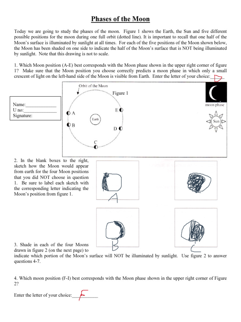 Moon Phases | PDF