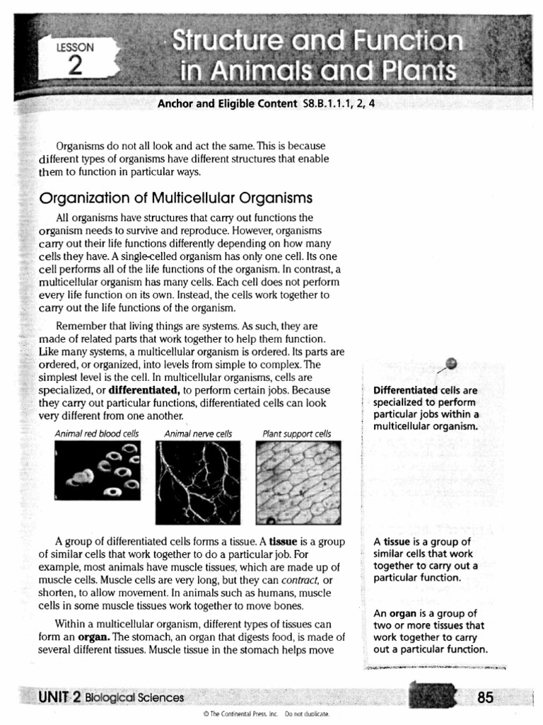 General Biology 2 | PDF