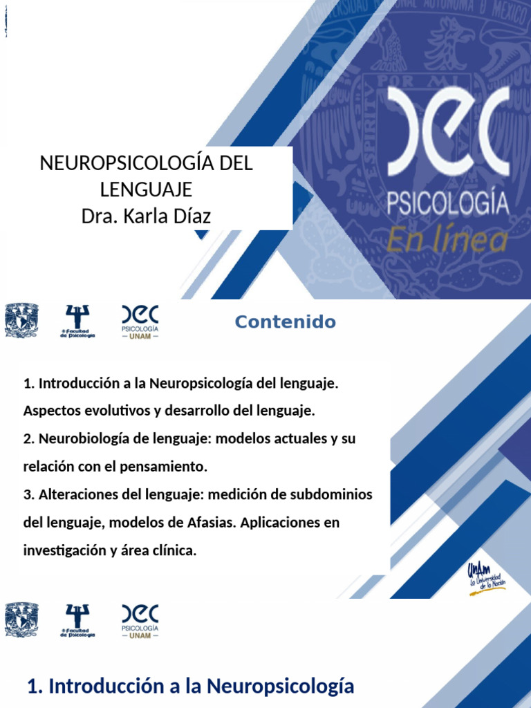 Neuropsicología Del Lenguaje Sesión 1 Pdf