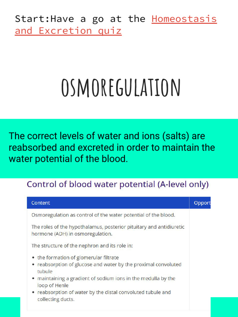 Osmoregulation | PDF