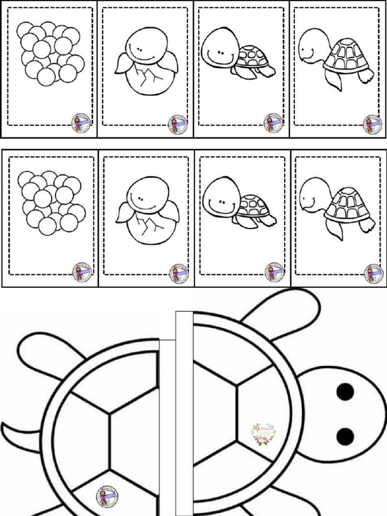 El Ciclo de Vida de Las Plantas y Los Animales | PDF