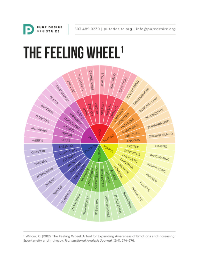 The Feeling Wheel Bibcev | PDF