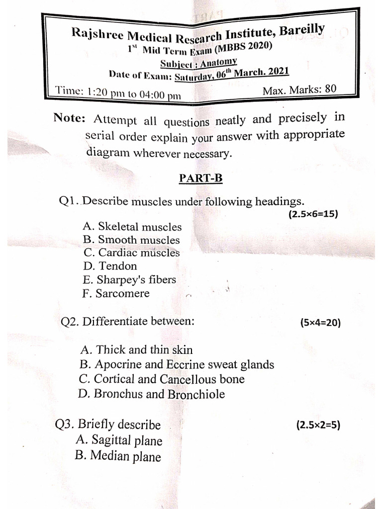Mbbs 1st year mid term anatomy paper (6 March) | PDF