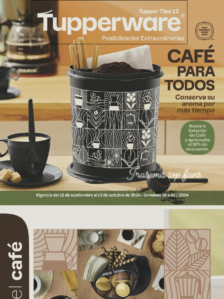 Tupperware C13 2024 | PDF