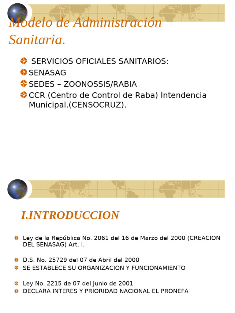 Modelo de Administración Sanitaria | PDF