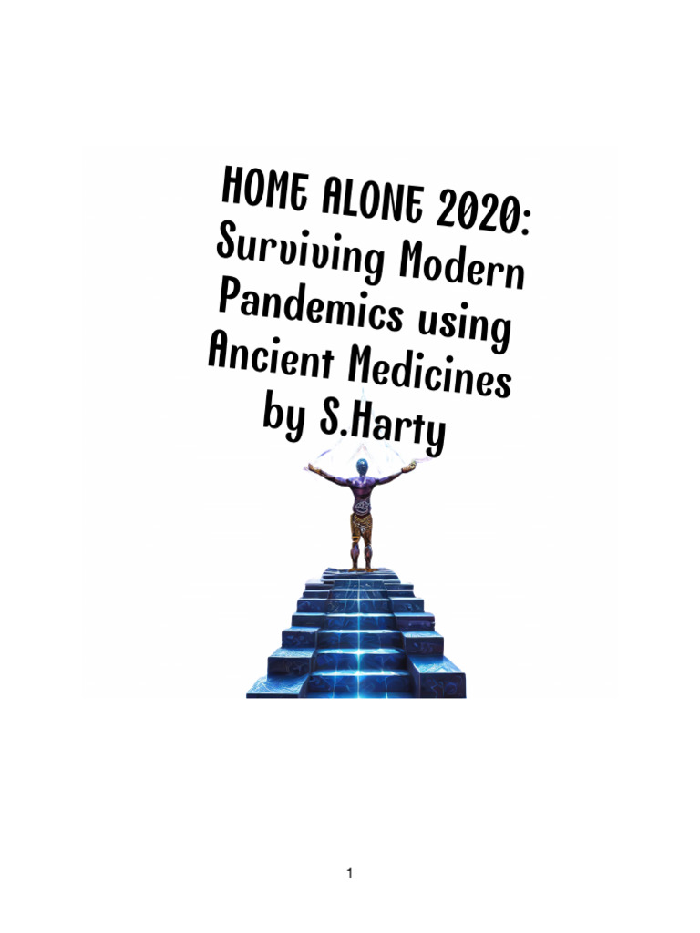 Home Alone 2020 (Feb 2024) | PDF