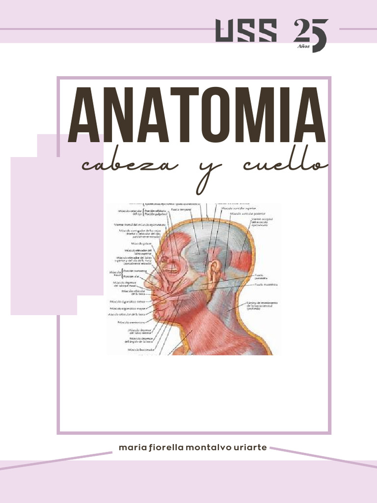 Guia de Practica - Anatomia | PDF