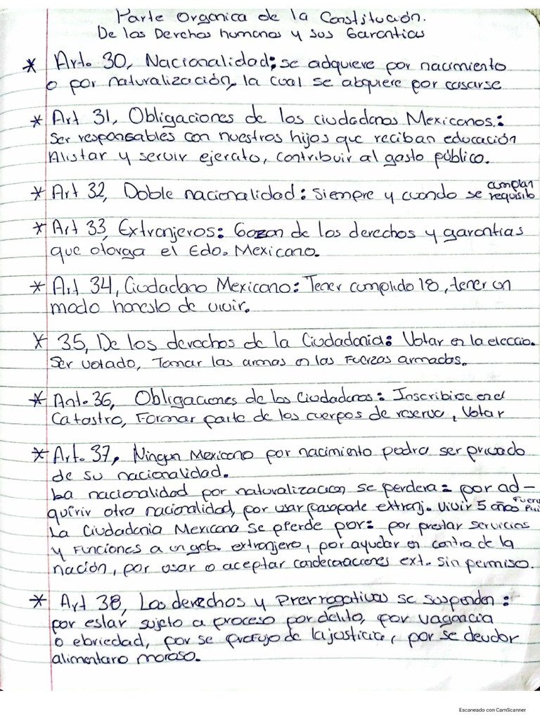 Dercho Constitucional Apuntes | PDF