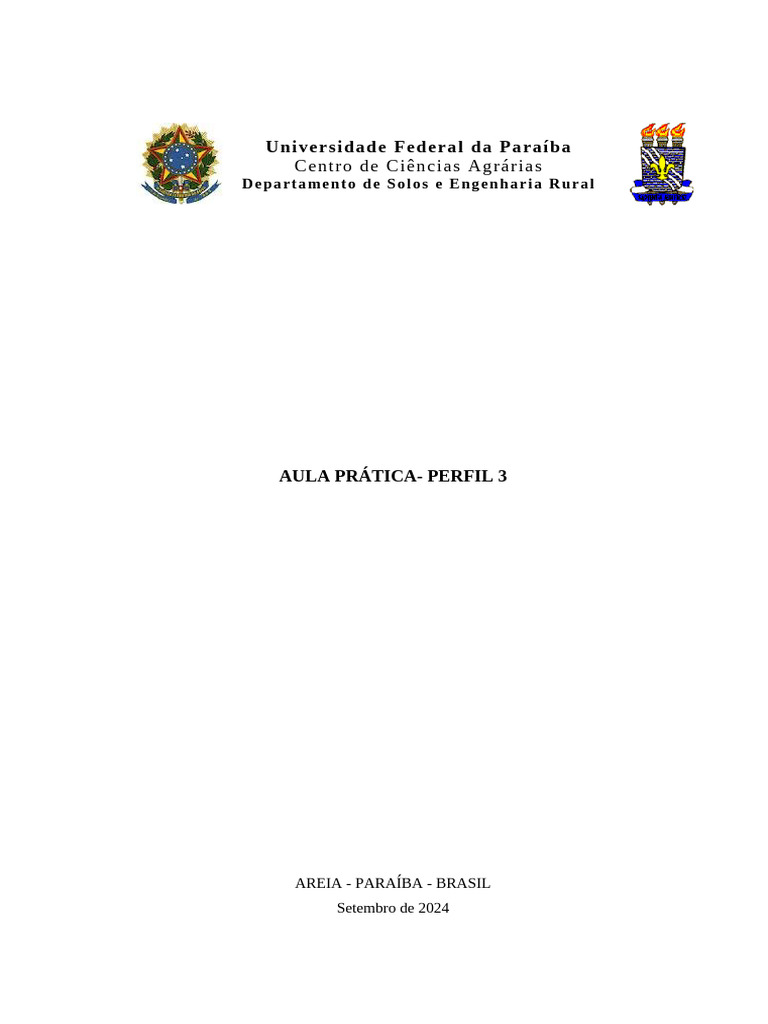 Relatório de GMCS - Visita 3 - Flávio P. | PDF