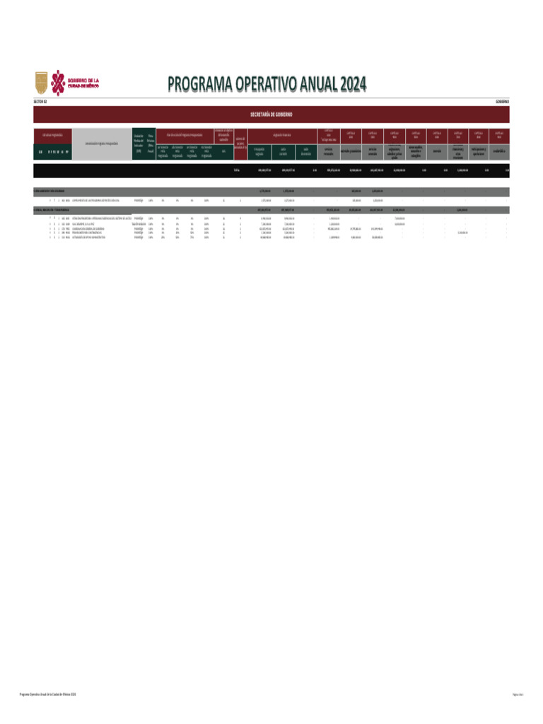 Programa Operativo Anual 2024 | PDF
