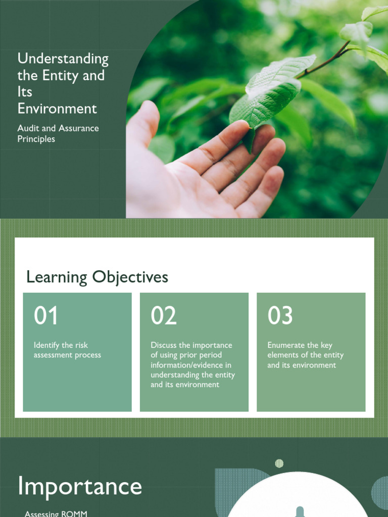 Audit and Assurance Understanding The Entity and Its Environment | PDF | Audit | Internal Control