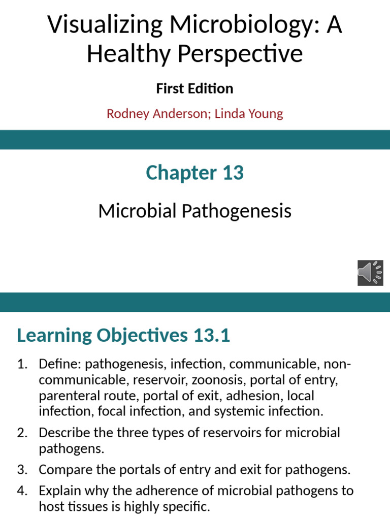 ch13 Upload Rec FA19 | PDF