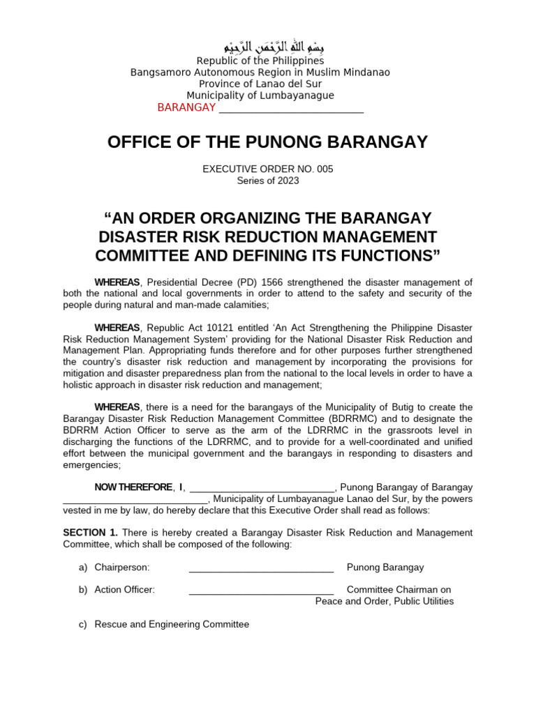 005 BDRRMC | PDF
