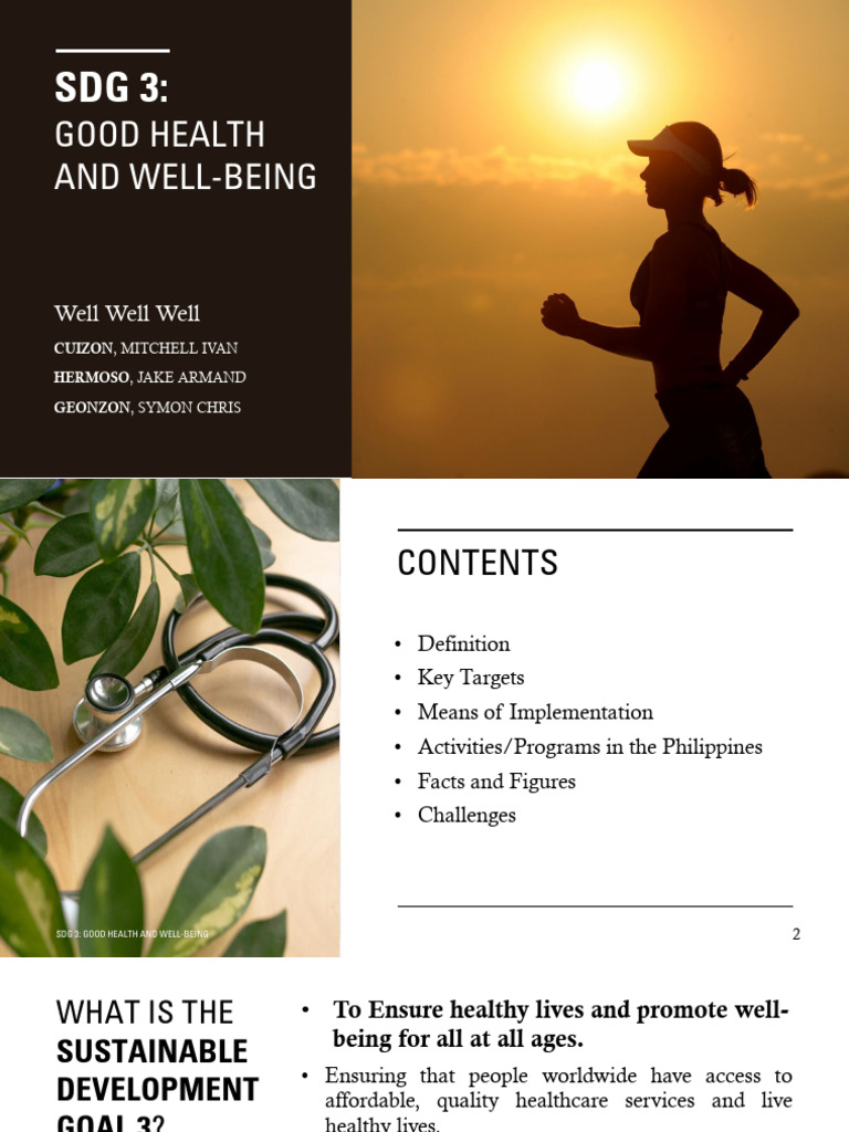 SDG 3 | PDF