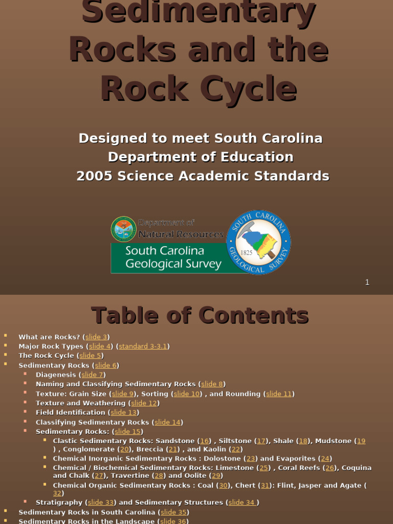 4.0.3. Sedimentary Rocks | PDF
