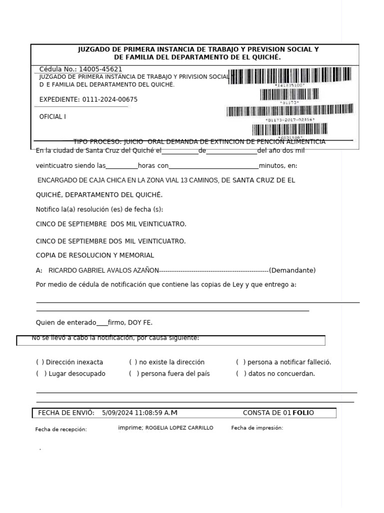 Notificacion Juicio Oral Demandante | PDF