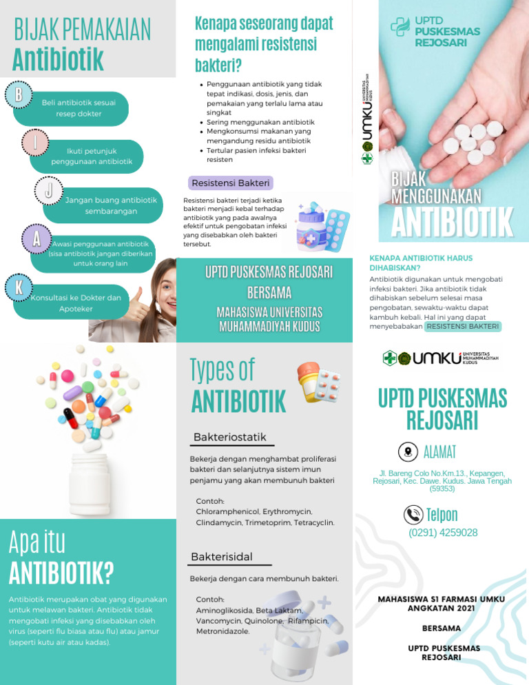 Leaflet Penggunaan Antibiotik Bijak | PDF