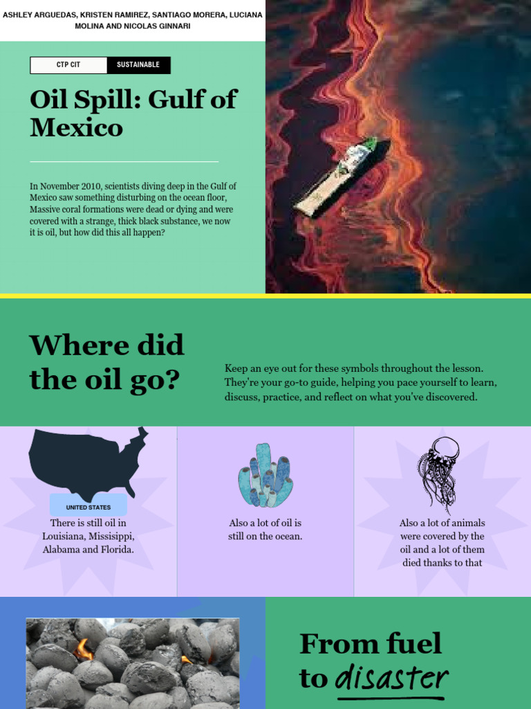 Fossil Fuels | PDF
