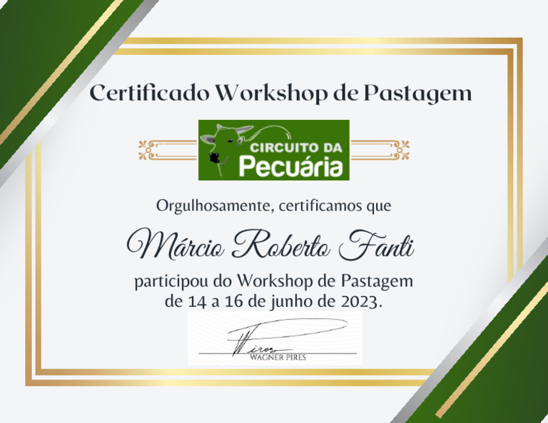 Certificado On Line | PDF