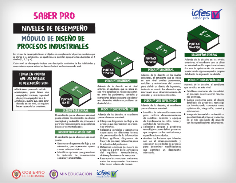 Niveles de Desempeno - Diseno de Procesos Industriales | PDF