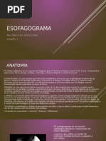 Procedimiento de Esofagograma | PDF | Acidez | Estómago