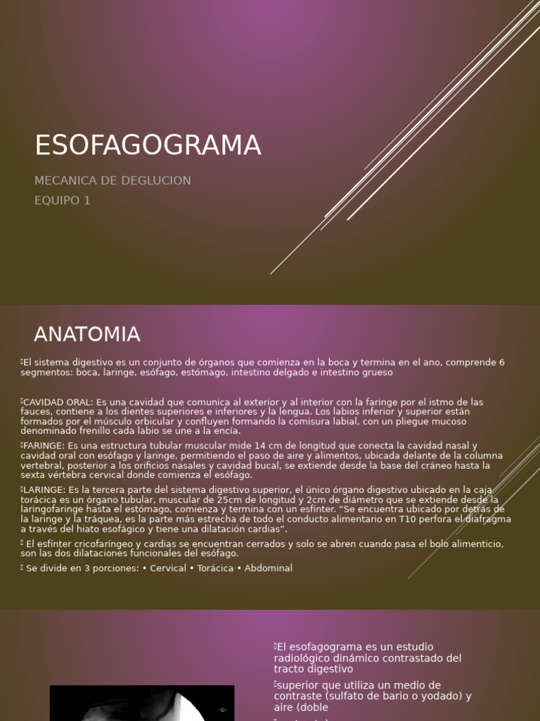 Esófago y Deglución: Estudio Radiológico | PDF | Sistema digestivo ...