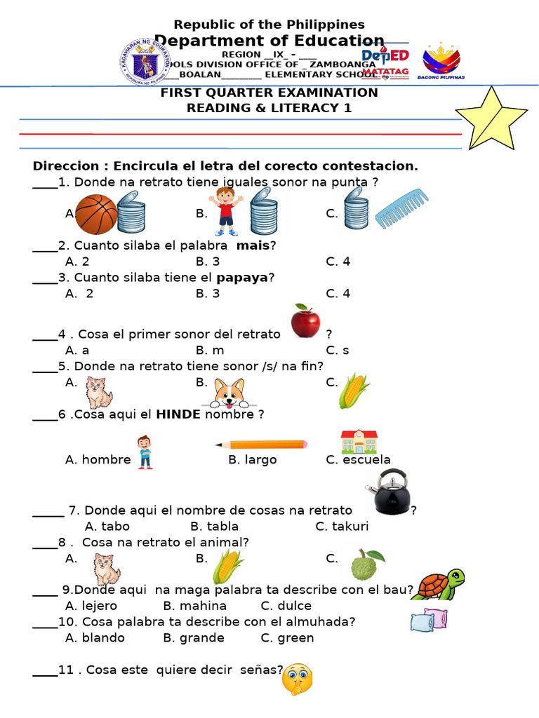 Reading and Literacy 1st Quarter Test 2024 | PDF