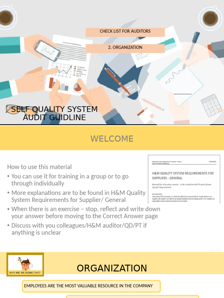Quality System Audit Guideline Organization | PDF