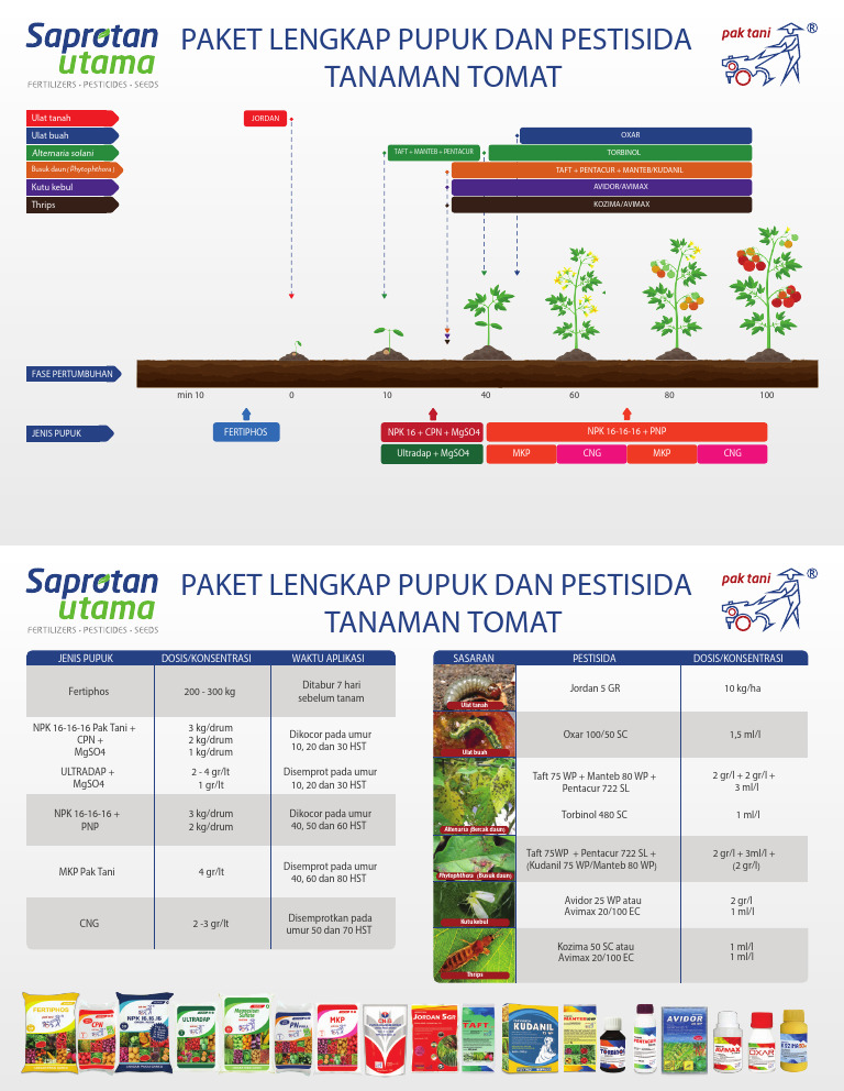 Paket Lengkap Tomat SU | PDF