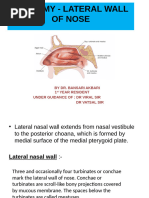 Anatomy of the Osteomeatal Complex | PDF | Human Nose | Human Head And Neck
