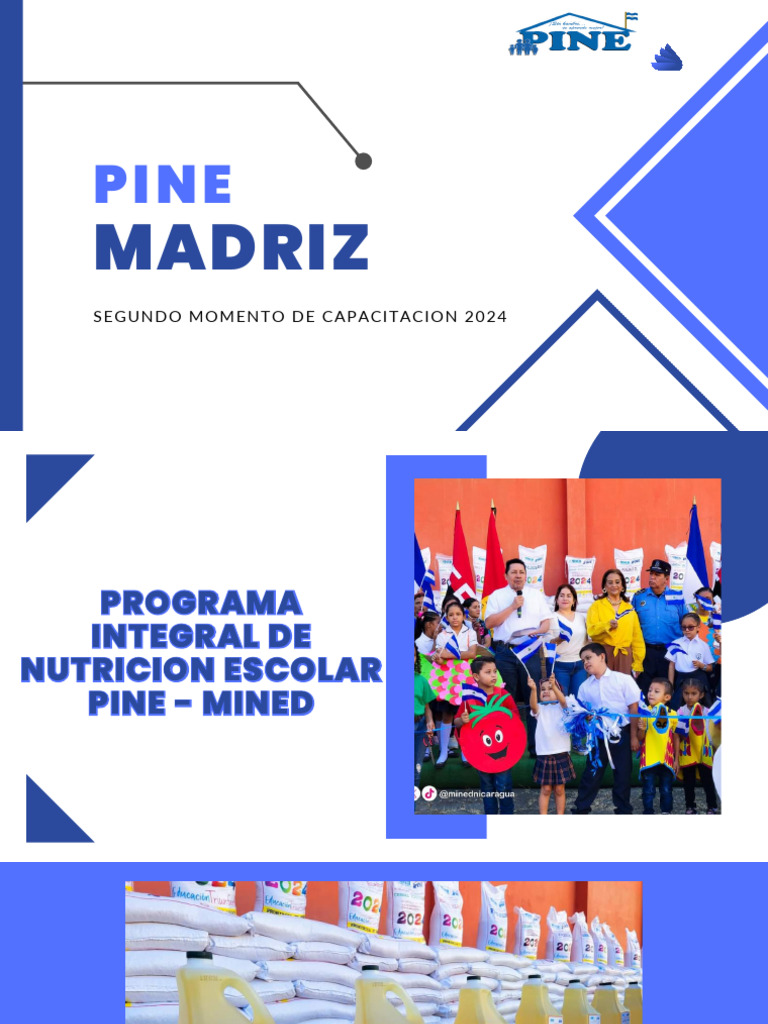 Capacitacion Pine | PDF