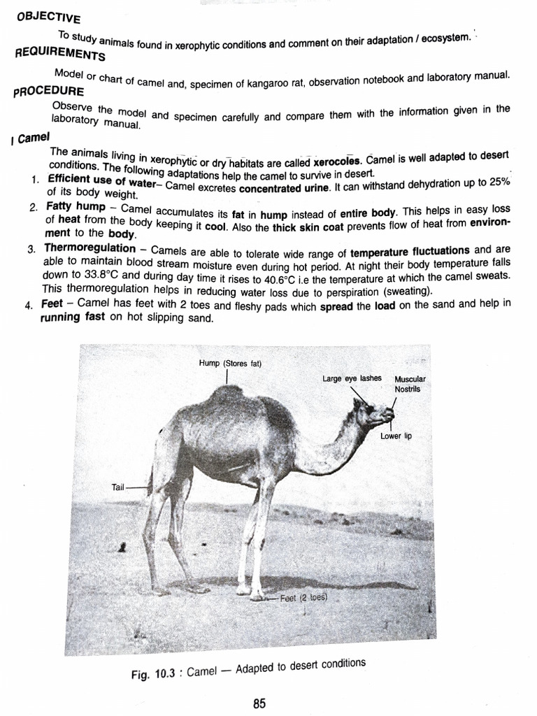 Xii Biology Practical Part 3 | PDF