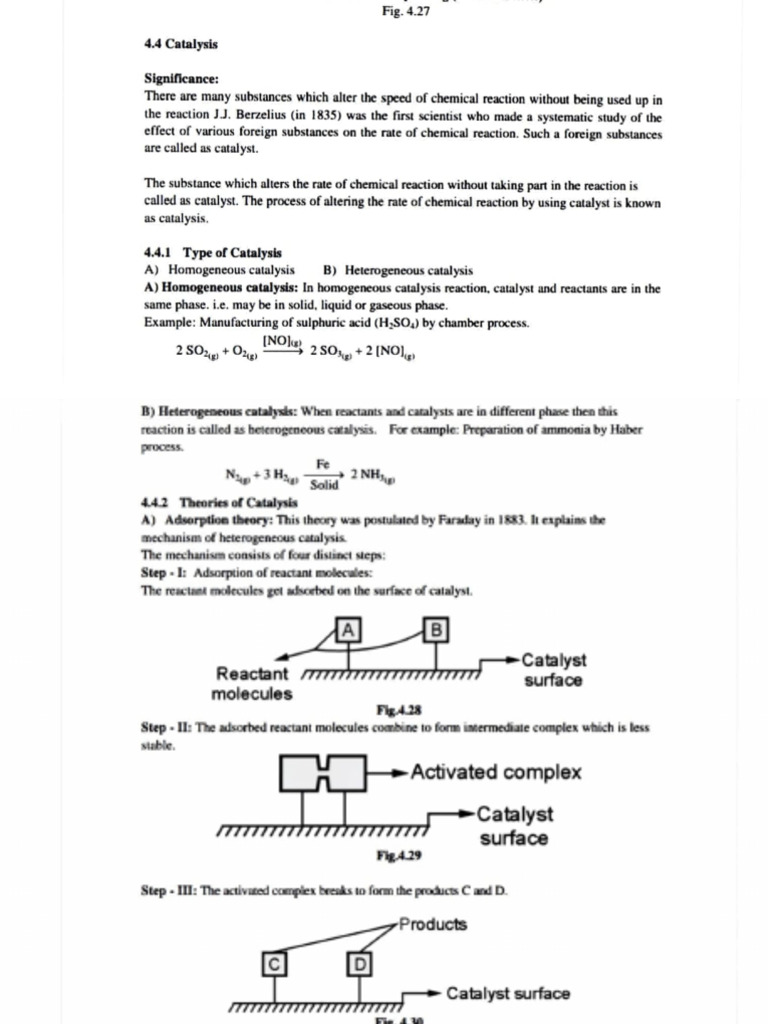 Catalysis | PDF