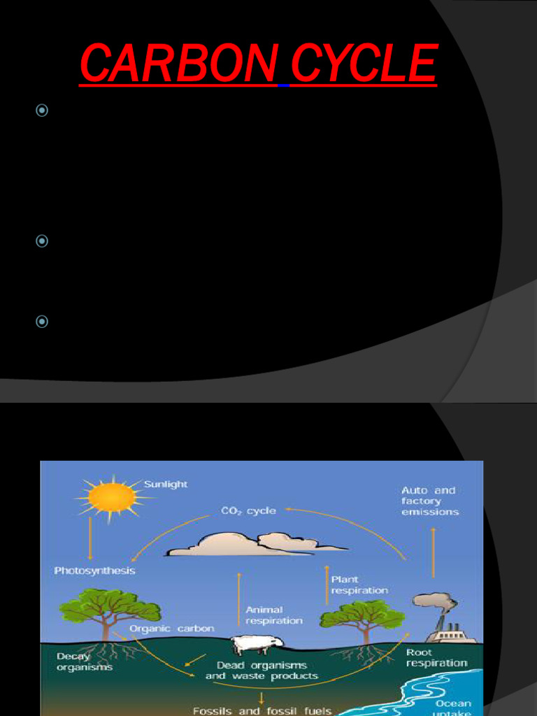 LEC-21 Carbon Cycle | PDF | Carbon Dioxide | Home & Garden LEC-21 Carbon Cycle | PDF | Carbon Dioxide | Home & Garden