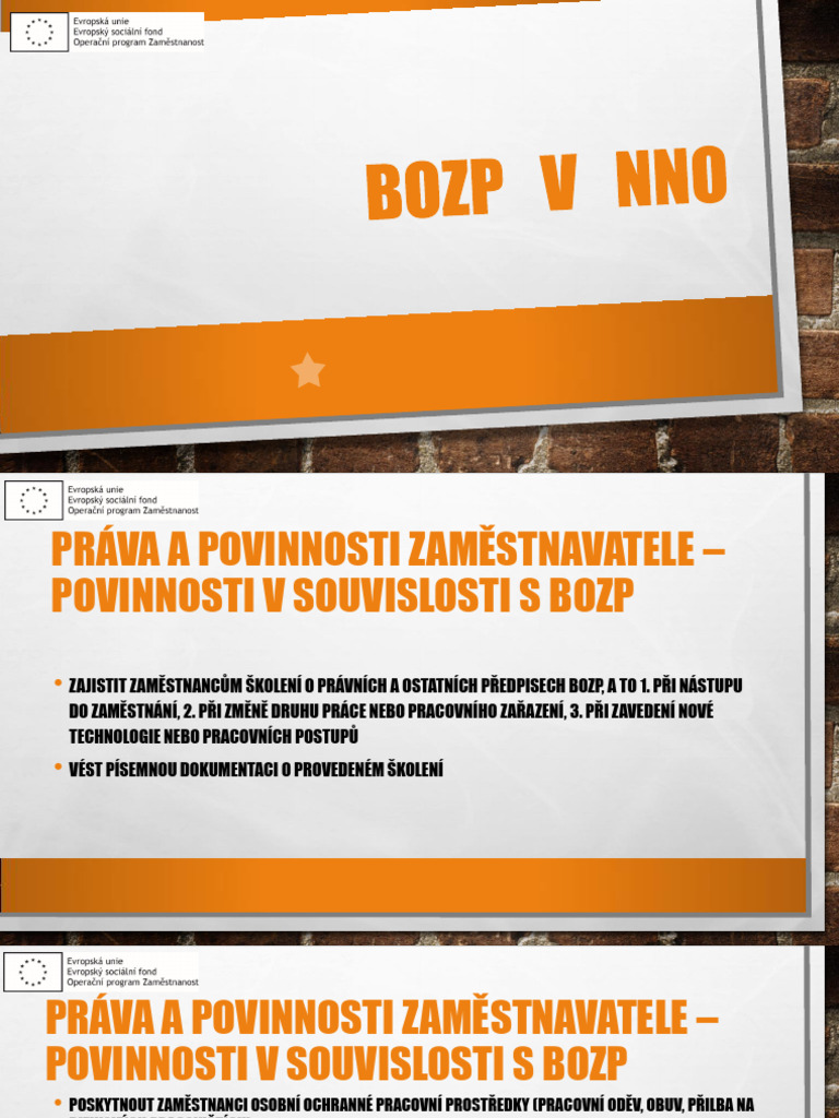 BOZP V NNO - Pravni Minimum | PDF