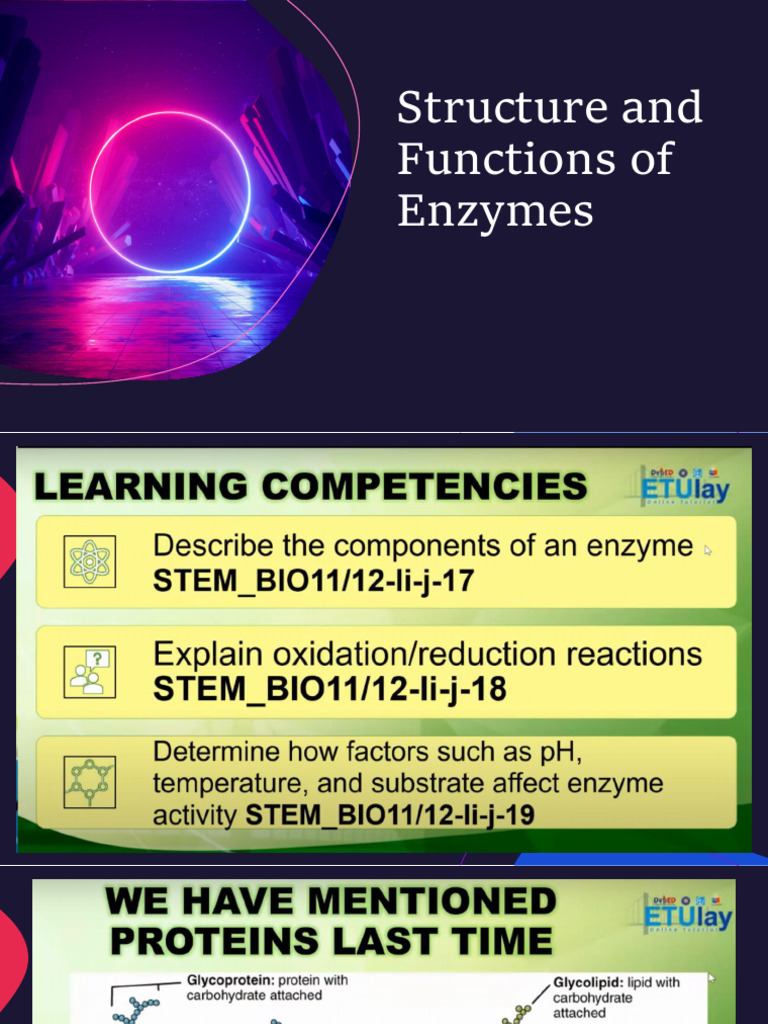 Structure-and-Functions-of-Enzymes | PDF