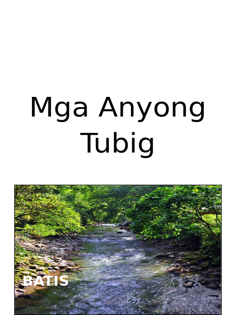 Mga Anyong Tubig | PDF