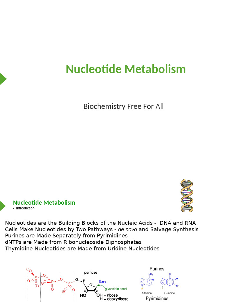 Nucleotide Metabolism | PDF