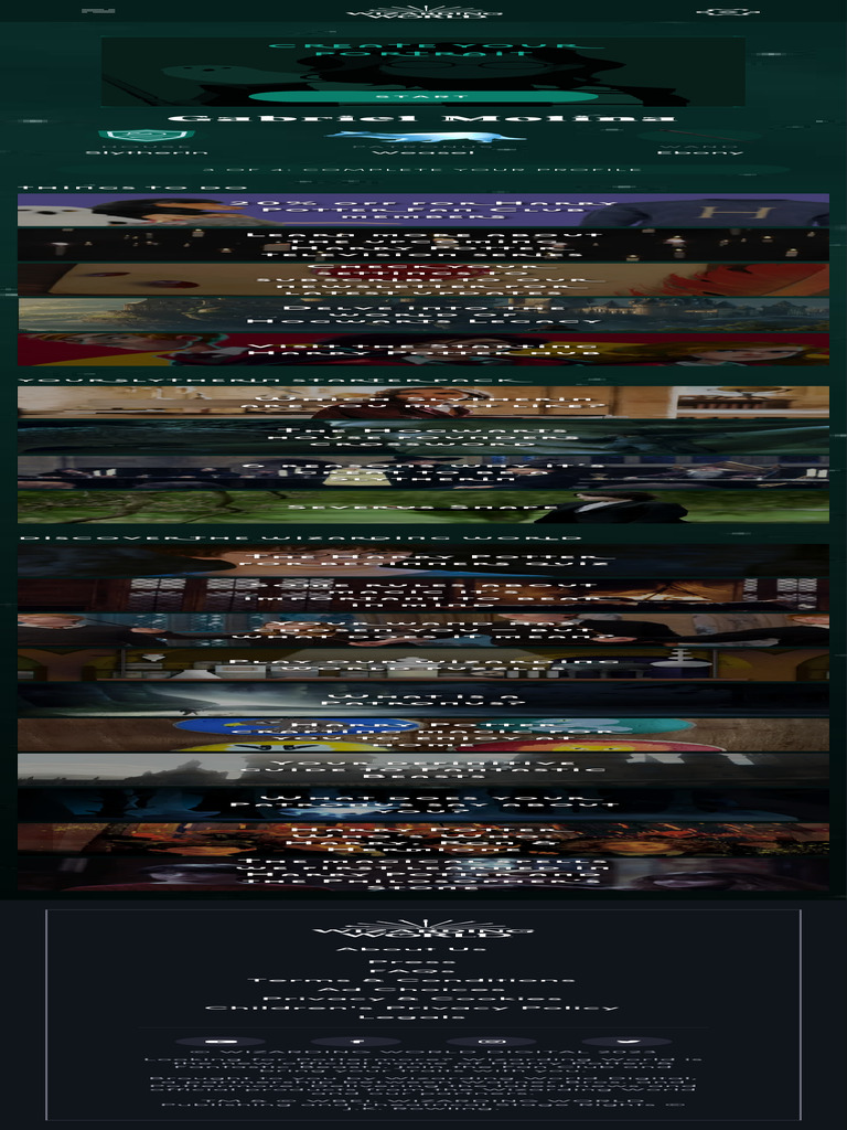 Wizarding World - Profile | PDF