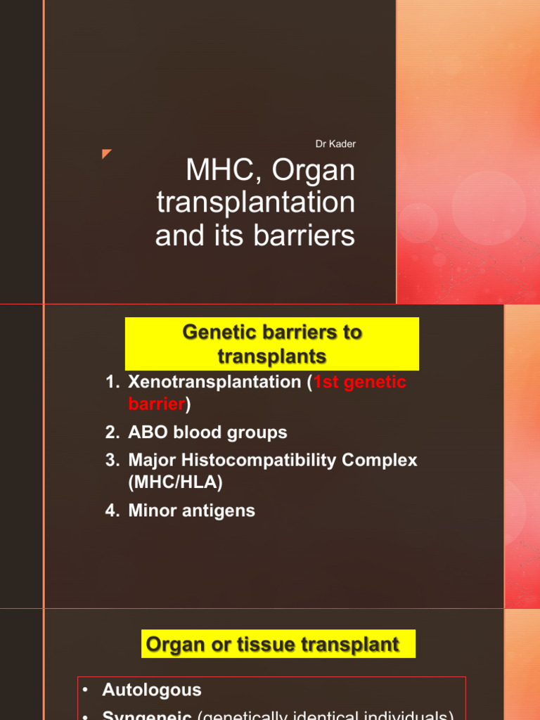 MHC and Organ Transplantation | PDF | Major Histocompatibility Complex ...