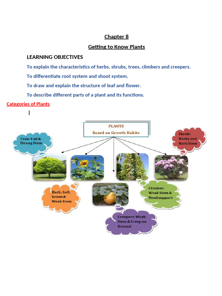 CH 8 Getting To Know plants | PDF
