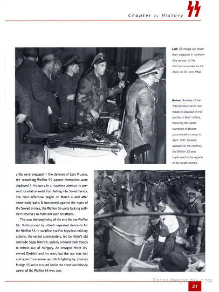 Weapons of Wfss | PDF