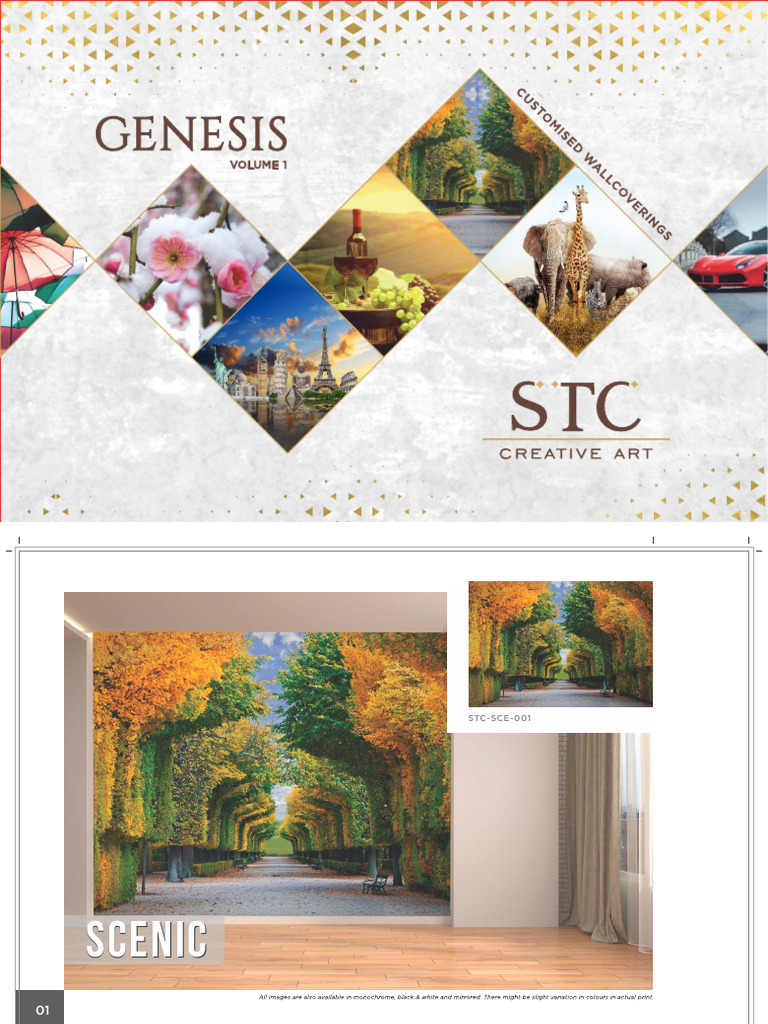 Genisis Scenic | PDF