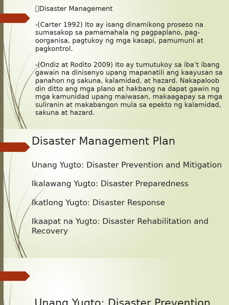 Disaster Management Plan.pptx NOTES | PDF