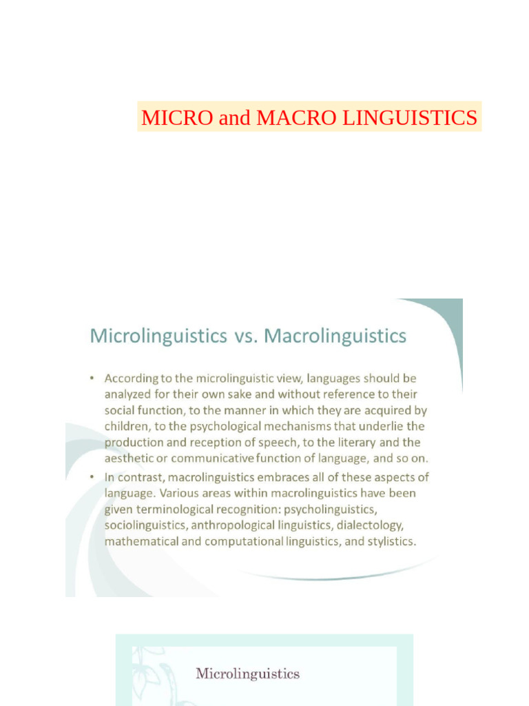 Micro and Macro | PDF