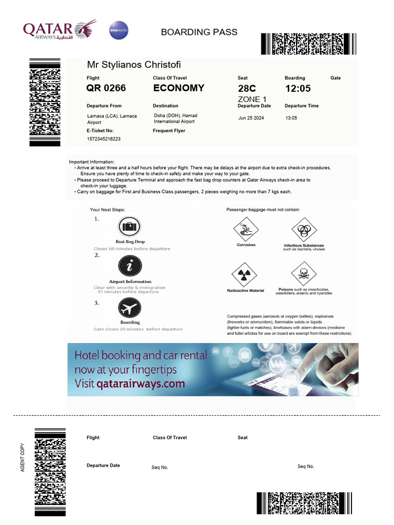 Travel Pass | PDF