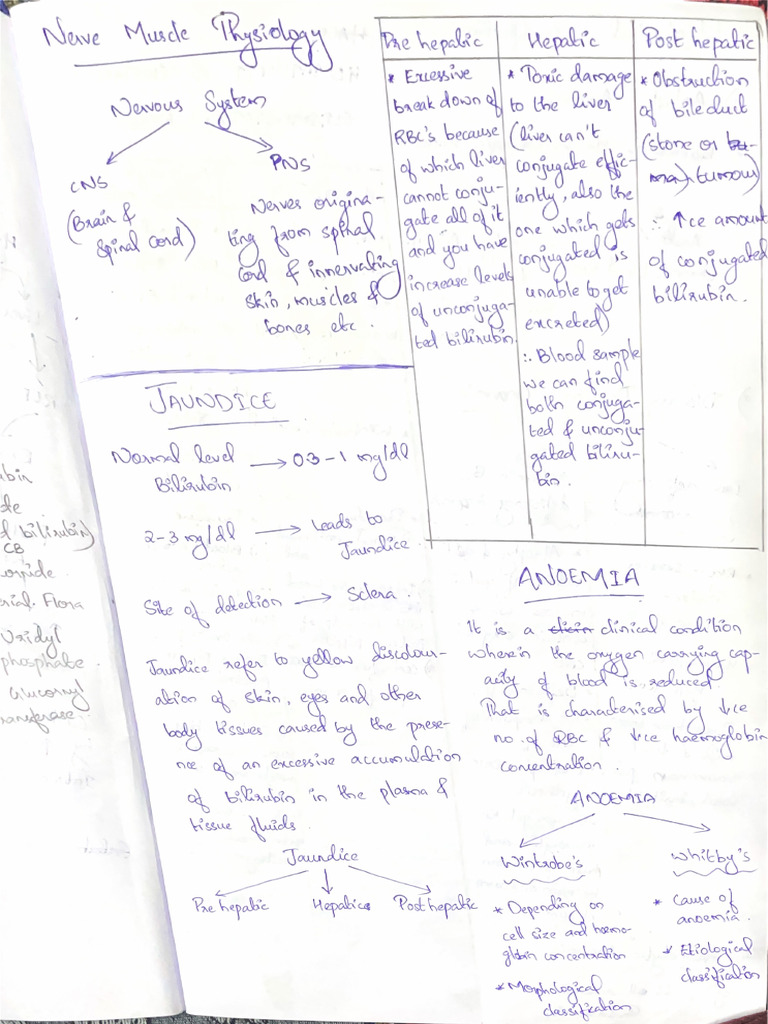 Scanned Document | PDF