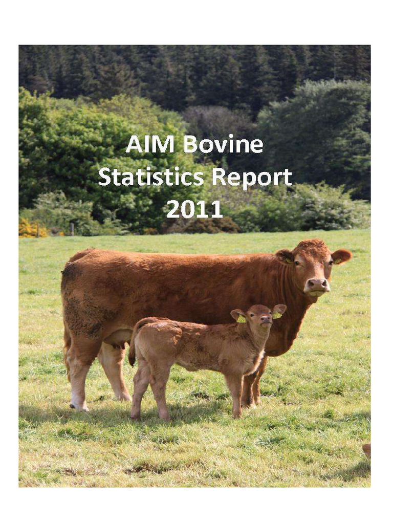AIM Bovine Statistics Report 2011 | PDF | Cattle | Business