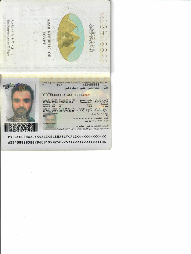 Passport Ali | PDF